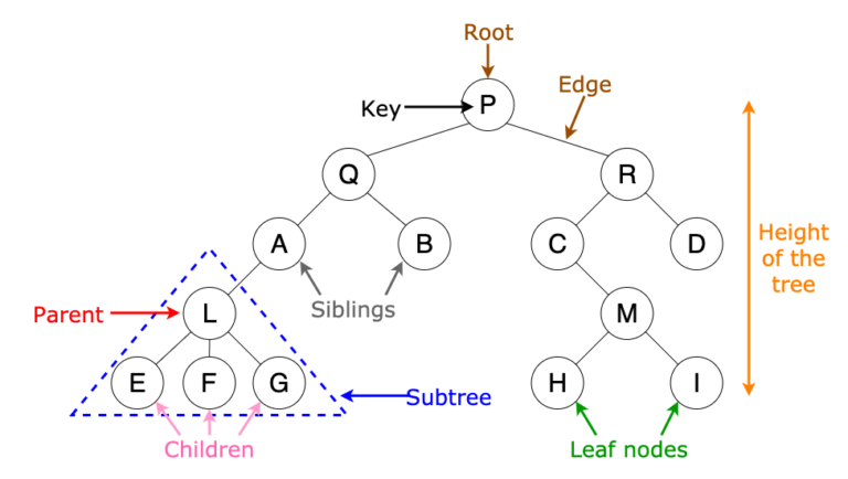 Understanding the Tree Data Structure - Backendmesh